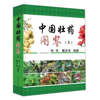 中国壮药图鉴 朱华，戴忠华 编【正版图书】