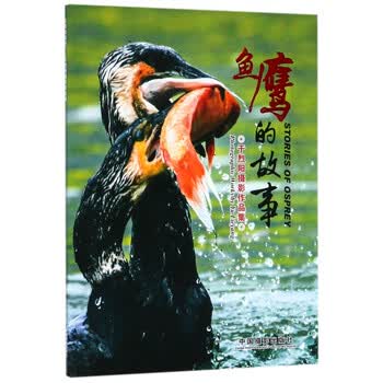 鱼鹰的故事(于烈阳摄影作品集)