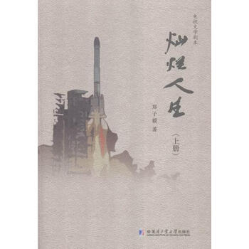 灿烂人生-电视文学剧本-(上.下册) 郑子毅 文学 9787560355344