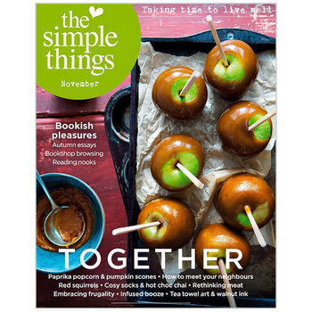 【包邮】订阅THE SIMPLE THINGS 生活方式杂志 英国英文 年订12期E428原版