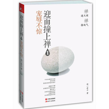 迎面撞上禅1 明一居士