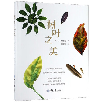 树叶之美(精)