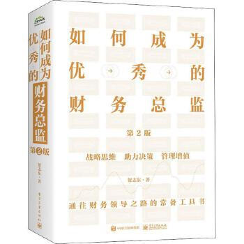 如何成为优秀的财务总监（第2版）