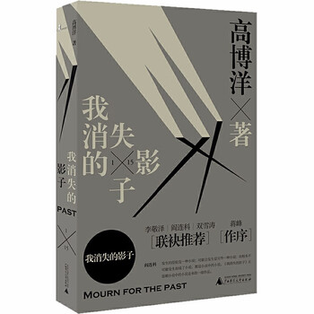 我消失的影子      高博洋 著     广西师范本社