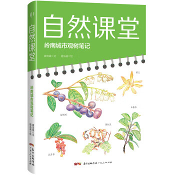 自然课堂：岭南城市观树笔记