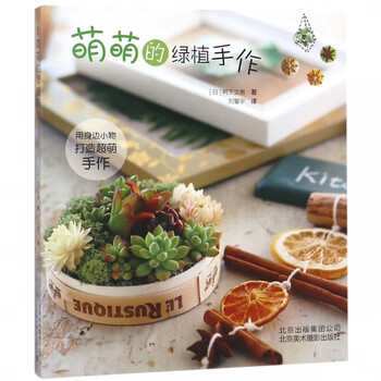 萌萌的绿植手作