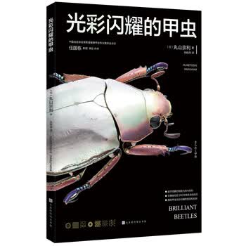 正版 光彩闪耀的甲虫9787569933994