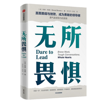 无所畏惧 布琳布朗  中信出版社 预售