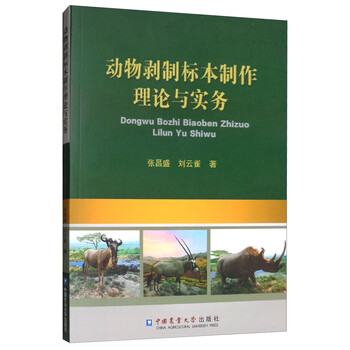 动物剥制标本制作理论与实务