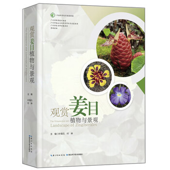 观赏姜目植物与景观