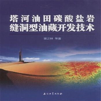 塔河油田碳酸盐岩缝洞型油藏开发技术