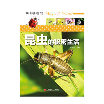 昆虫的秘密生活/神奇的世界