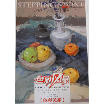色彩风暴 色彩关系【正版图书】