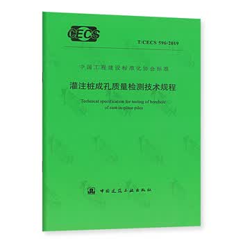T/CECS 596-2019 灌注桩成孔质量检测技术规程