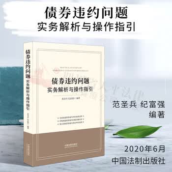 债券违约问题实务解析与操作指引
