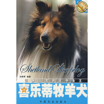 喜乐蒂牧羊犬
