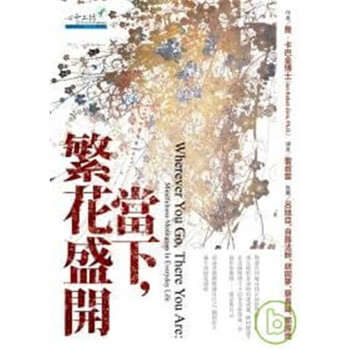当下，繁花盛开    08  乔．卡巴金博士  心灵工坊  进口原版