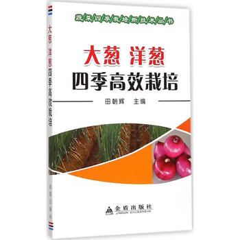 大葱洋葱四季高效栽培
