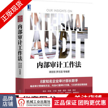 现货包邮 内部审计工作法企业审计/审计思维方法/内含43套审计方案100多项实用技能5076303