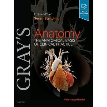 Gray's Anatomy