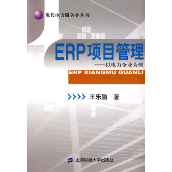 ERP项目管理 以电力企业为例【正版图书】