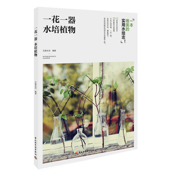 一花一器 水培植物