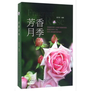 芳香月季