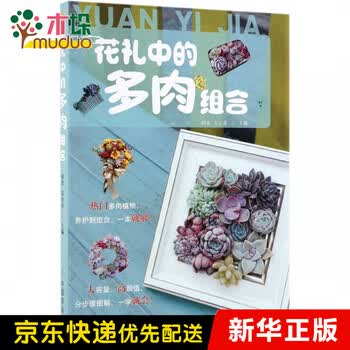 花礼中的多肉组合