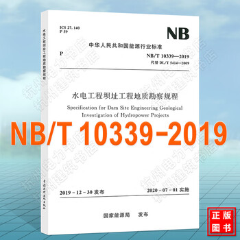 NB/T10339-2019水电工程坝址工程地质勘察规程