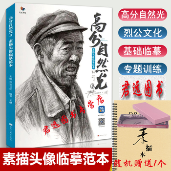 高分自然光3素描头像临摹范本2022烈公文化王麒人物头像人体五官结构起形铺色与大关系完整稿照片步骤对画训练美院联考教程书教材