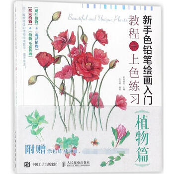 新手色铅笔绘画入门(教程+上色练习植物篇)