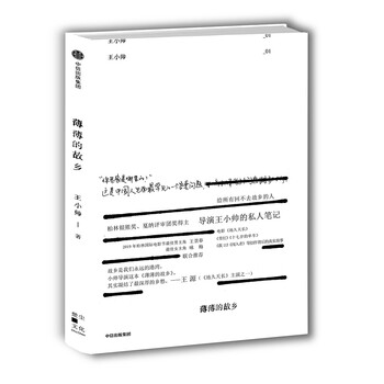 薄薄的故乡 王小帅 著 中信出版社