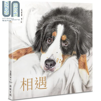 相遇 港台原版 吴家慧 新锐文创 画册/绘画集