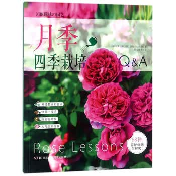 月季四季栽培Q&A