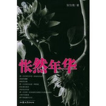怅然年华 张怡微