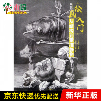 绘画入门(从结构到素描静物)/敲门砖
