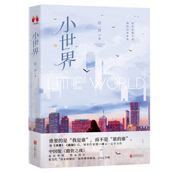小世界：著名旅美作家汪一洋继《洋嫁》后又一力作，当代都市30+新女性独立宣言，都市女性的生存指南