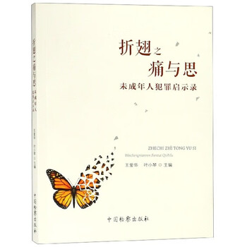 折翅之痛与思(未成年人犯罪启示录)