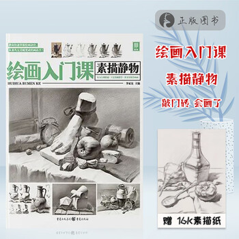 绘画入门课系列 2022敲门砖会画了李家友由简到繁立足基础紧跟教学步骤快速掌握绘画诀窍 绘画入门课-素描静物