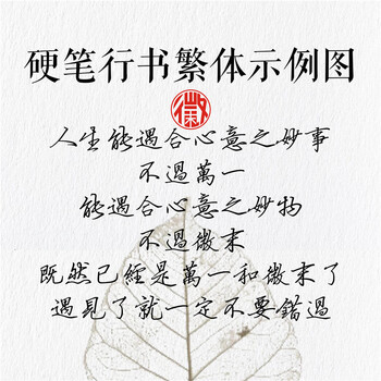 上林赋周生如故硬笔钢笔练字帖描红歌词本大学生文临摹本一生一世 硬笔行书繁体