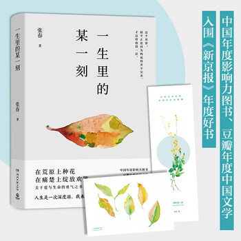 一生里的某一刻（升级修订2020新版）