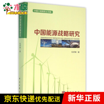 中国能源战略研究(精)/中国工程院院士文集