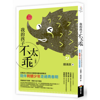 现货台版 我的孩子不太乖(改版) 从帮派小孩到正向管教特优老师教你陪伴刺猬少年走过青春期