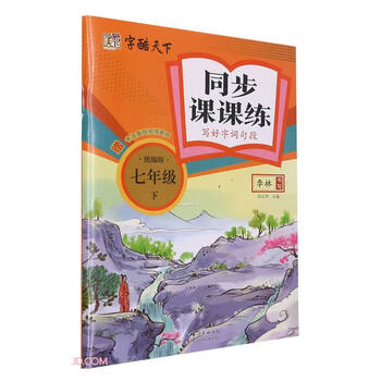 同步课课练(7下统编版写好字词句段)