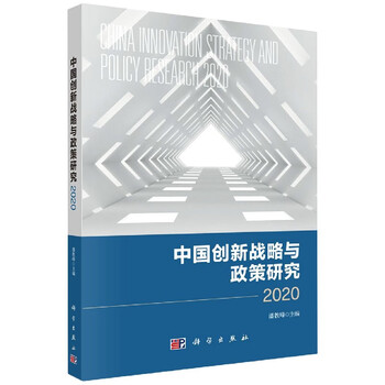 中国创新战略与政策研究(2020)