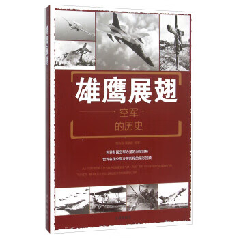 雄鹰展翅:空军的历史【正版图书】