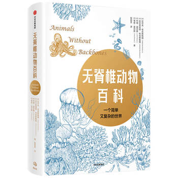 解析流动 画说流体力学 无脊椎动物百科