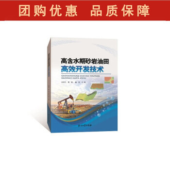 B高含水期砂岩油田高效开发技术 宋考平,黄斌,董驰 著 促销2石油工业出版社 9787518