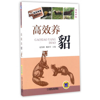 高效养貂(双色印刷)/高效养殖致富直通车