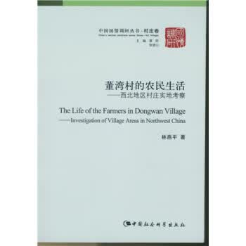 董湾村的农民生活--西北地区村庄实地考察【正版图书】